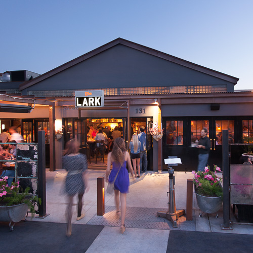 The Lark